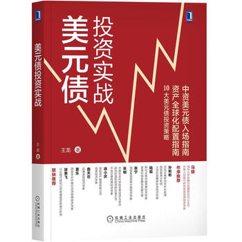 美元债投资实战 王龙 著