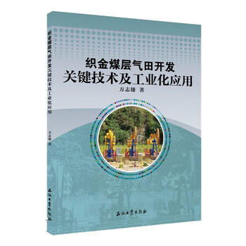 织金煤层气田开发关键技术及工业化应用
