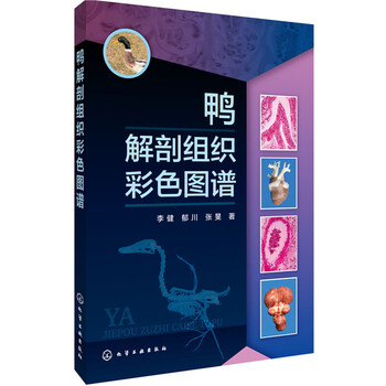 正版鸭解剖组织彩色图谱 李健，郁川，张旻　著 化学工业出版社