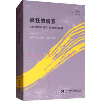 疯狂的谱系 从荷尔德林、尼采、梵·高到阿尔托