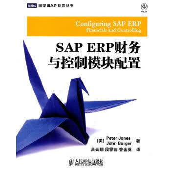 SAPERP财务与控制模块配置
