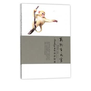 Monkey的私房彩铅课(万物生凡灵)