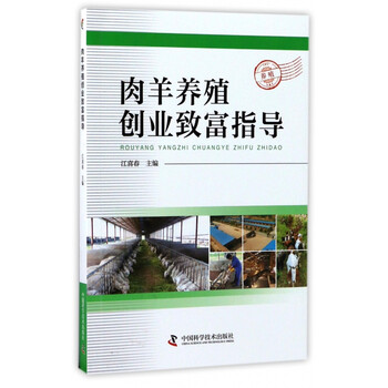 肉羊养殖创业致富指导