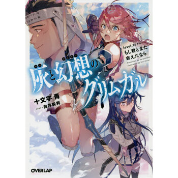 进口日文 文库 灰与幻想的格林姆迦尔 灰と幻想のグリムガル level.14++ も