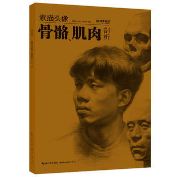国美格调-素描头像骨骼肌肉剖析