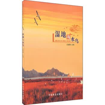 湿地与水鸟 庄晨辉 编 书籍