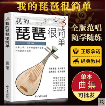 【包邮】萨克斯管初级教程 我的琵琶很简单
