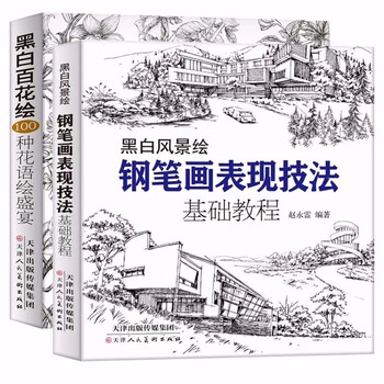 正版2册 钢笔画表现技法基础教程 黑白风景绘 黑白百花绘 100种花语绘盛宴 从入门到精通 