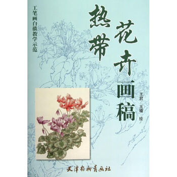 热带花卉画稿