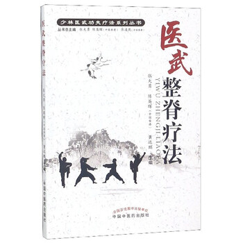 医武整脊疗法/少林医武功夫疗法系列丛书