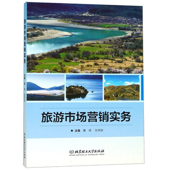 旅游市场营销实务