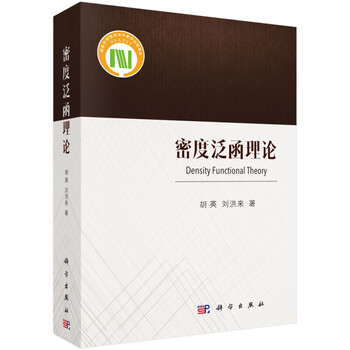 密度泛函理论 正版