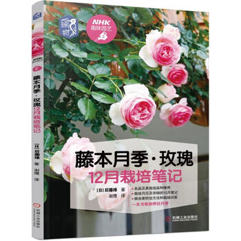 藤本月季·玫瑰12月栽培笔记