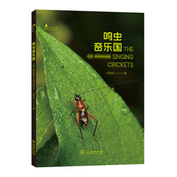 鸣虫音乐国(自然观察丛书)