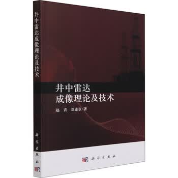 井中雷达成像理论及技术