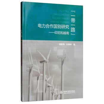 “一带一路”电力合作国别研究：印尼和越南
