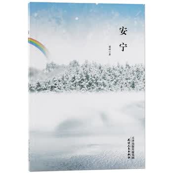 正版新书 安宁 9787201159034 国辉 天津人民出版社