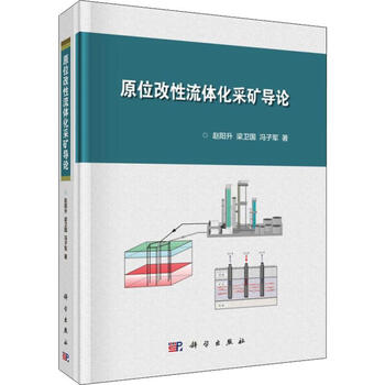 原位改性流体化采矿导论