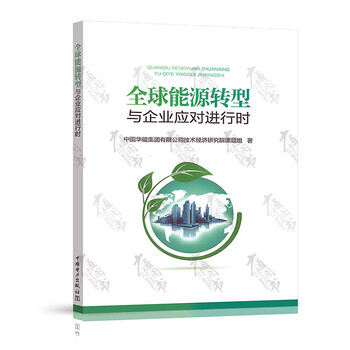 能源转型与企业应对进行时 经济 书籍