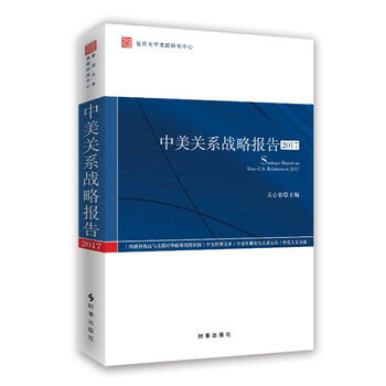中美关系战略报告 2017