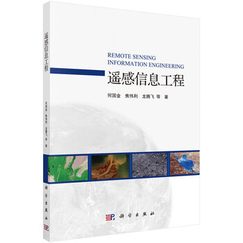 [正版图书]遥感信息工程