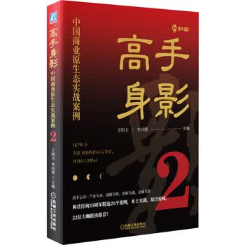 高手身影2：中国商业原生态实战案例 王明夫 李向群