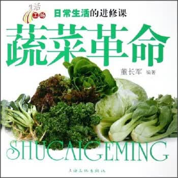 蔬菜革命 董长军