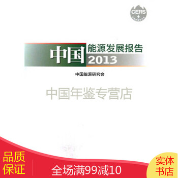 中国能源发展报告2013
