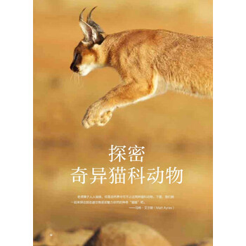 神奇动物在这里/爱因斯坦讲堂