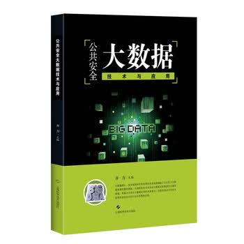 公共大数据技术与应用 计算机与互联网 书籍