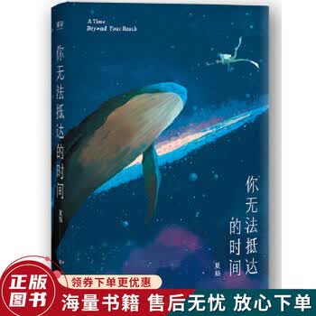 你无法抵达的时间