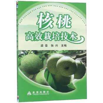 核桃高效栽培技术