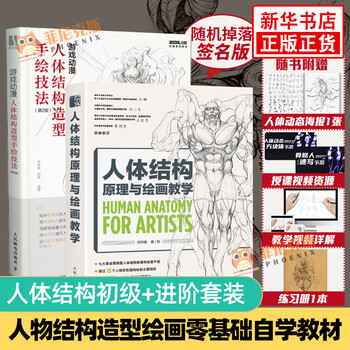 人体结构原理与绘画教学游戏动漫人体结构造型手绘技法画画的春哥伯里曼人物漫画教程书画画入门自学基础素描
