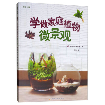 学做家庭植物微景观