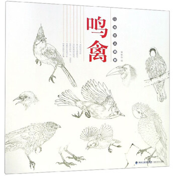 鸣禽-白描技法精解