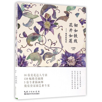 韧如铁线花开如莲--缘起铁线莲