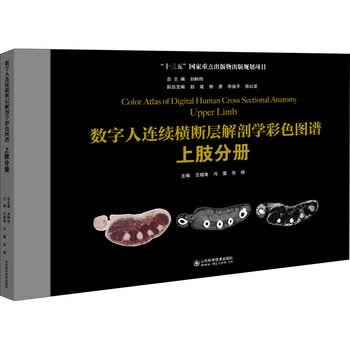 数字人连续横断层解剖学彩色图谱 上肢分册 王增涛,冯蕾,张杨 编 书籍