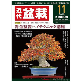 【包邮】【订阅】近代盆栽 盆栽景观杂志 日本日文原版 年订12期月刊原版