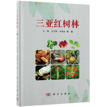 三亚红树林