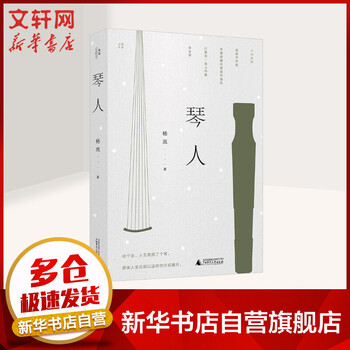 琴人 图书