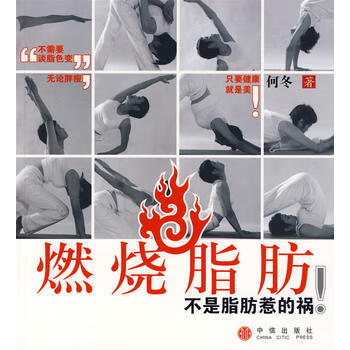 燃烧脂肪 何冬 9787508610085 中信出版社