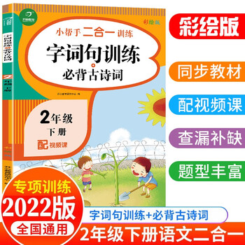 2022版字词句训练+必背古诗词二年级下册 同步思维专项强化训练人教版语文2年级练习册练习册 