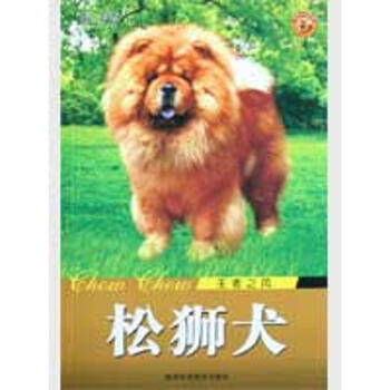 松狮犬 王者之风