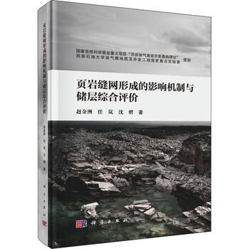 页岩缝网形成的影响机制与储层综合评价