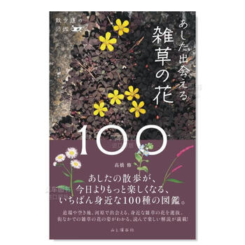 【】散步路上图鉴 可以遇到的100种野花 散歩道の図鑑 あした出会える雑草の花100日文原版图书书籍