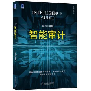 正版 智能审计陈伟8081494