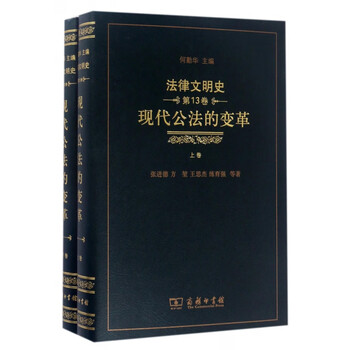 现代公法的变革(上下)(精)/法律文明史