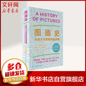 图画史——从洞穴石壁到电脑屏幕（阅读版） 图书
