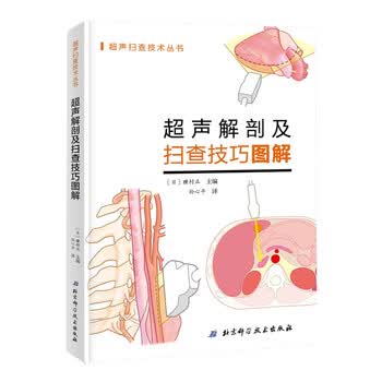 超声解剖及扫查技巧图解