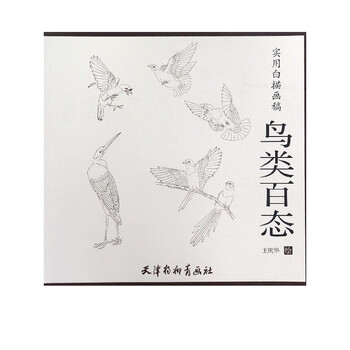 鸟类百态(实用白描画稿)